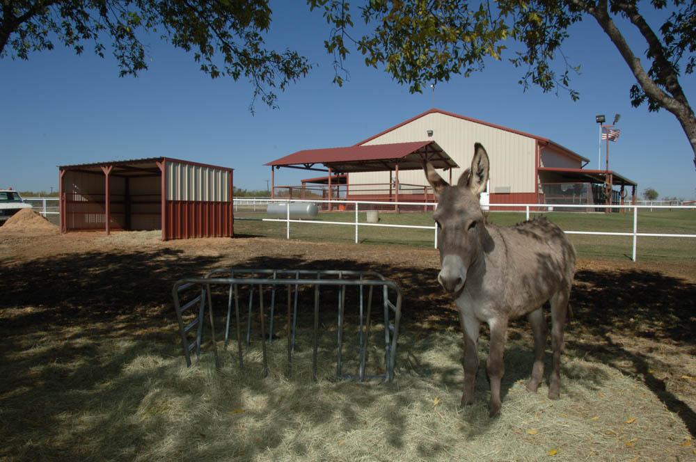 American Man Cave - American Man Cave - Mueller, Inc